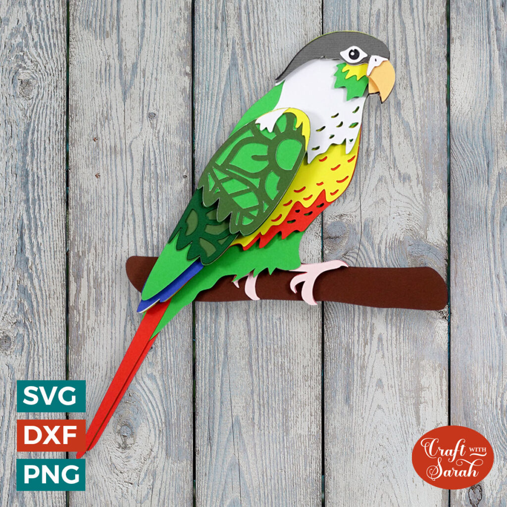 Green Cheeked Conure Bird SVG - Craft with Sarah