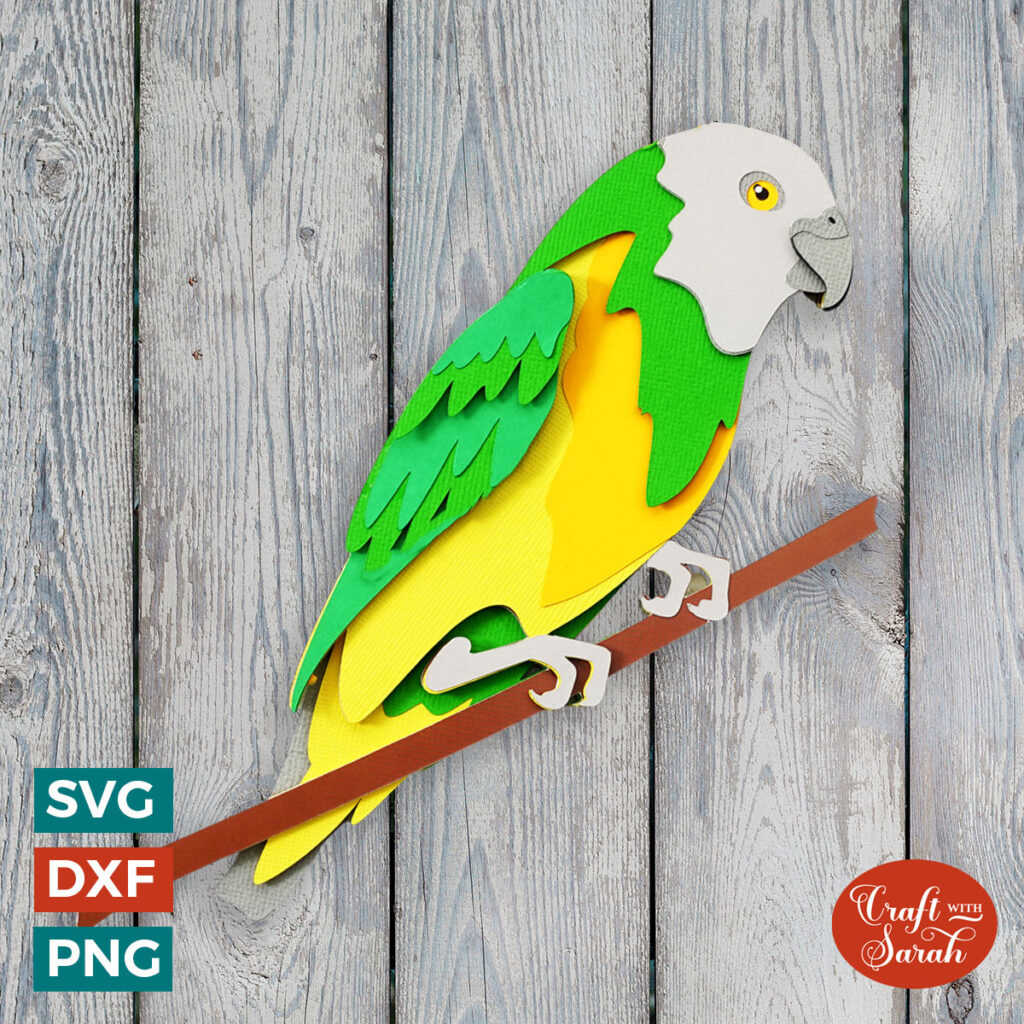 Senegal Parrot SVG - Craft with Sarah